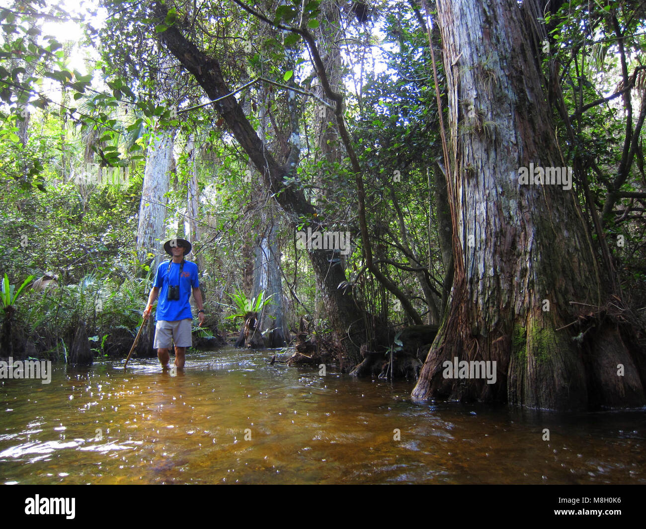 headwaters of turner river Stock Photo - Alamy