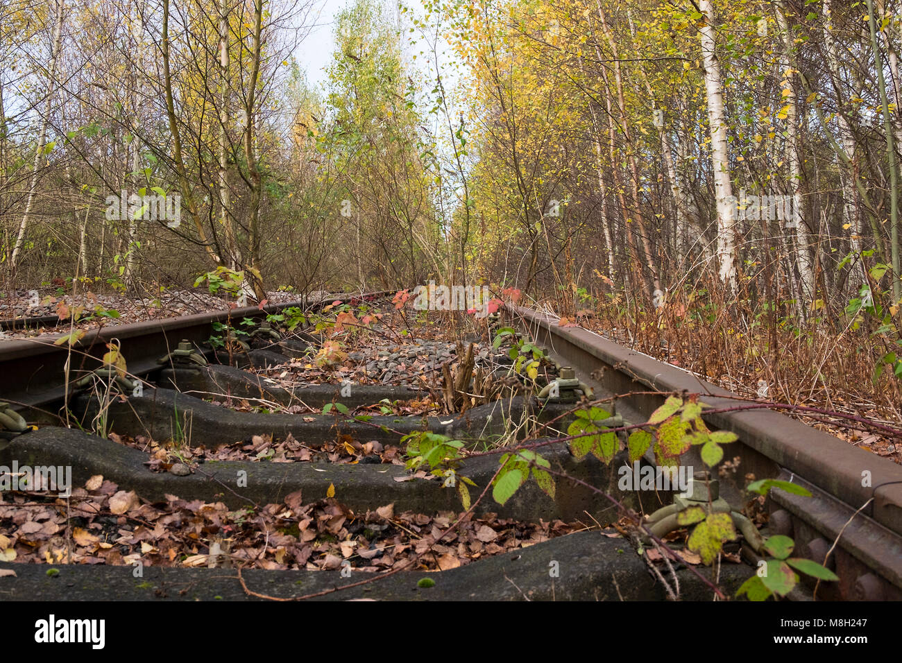 Overgrown Railway Track High Resolution Stock Photography and Images ...