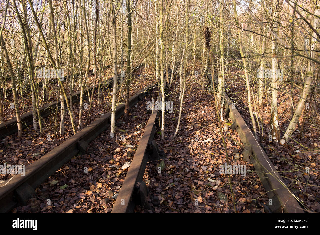 Overgrown Railway Track High Resolution Stock Photography and Images ...
