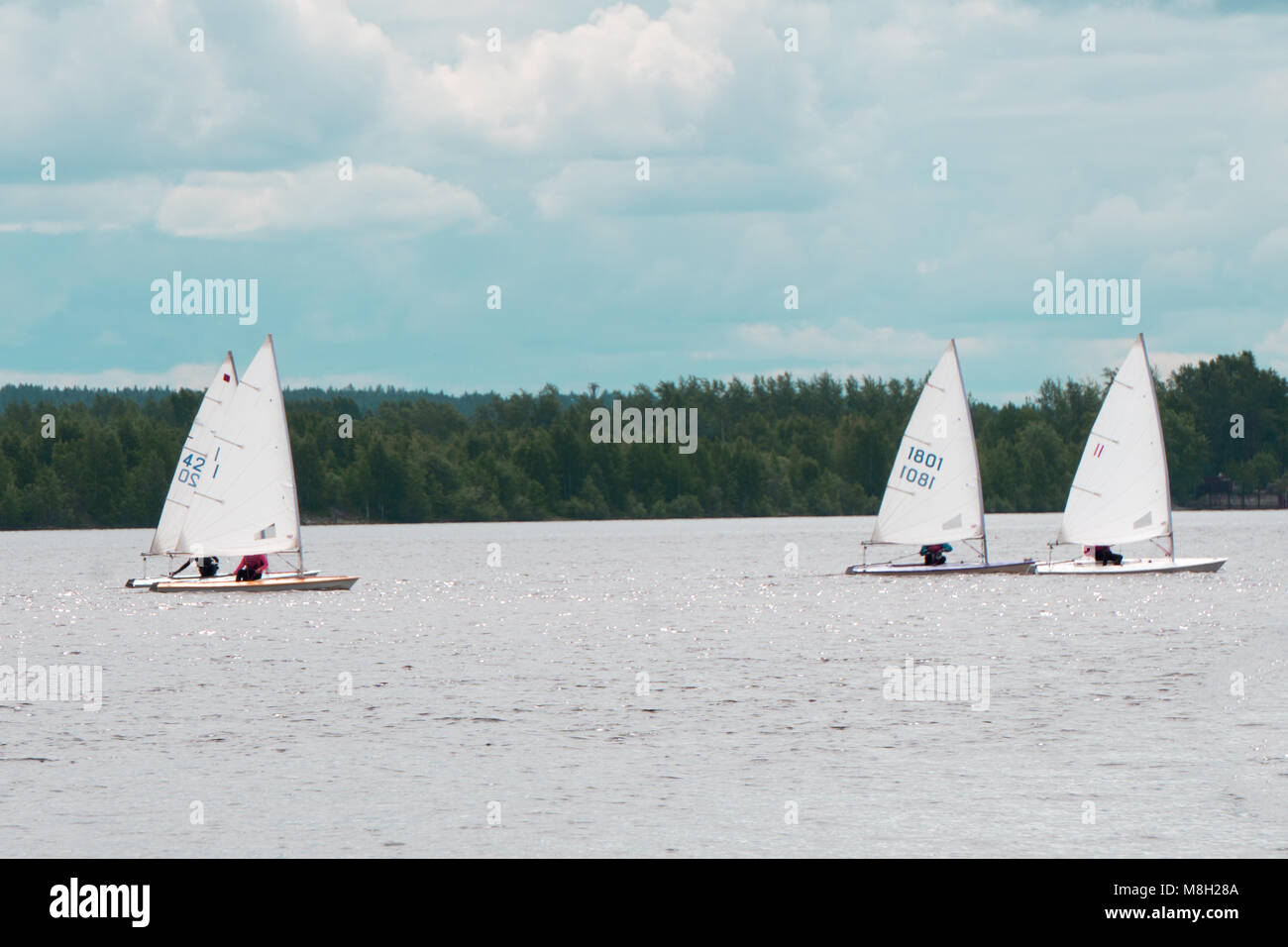 Sailing race yacht Yachting Sailing nature forest Stock Photo - Alamy