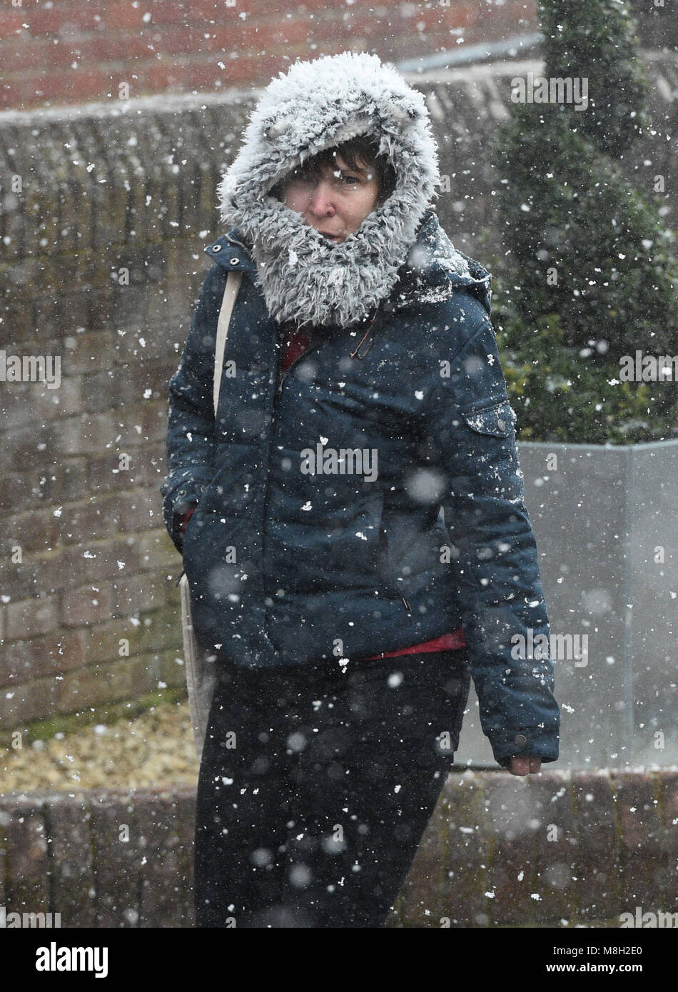 A woman walks in the snow in Salisbury, during the expected blast of ...