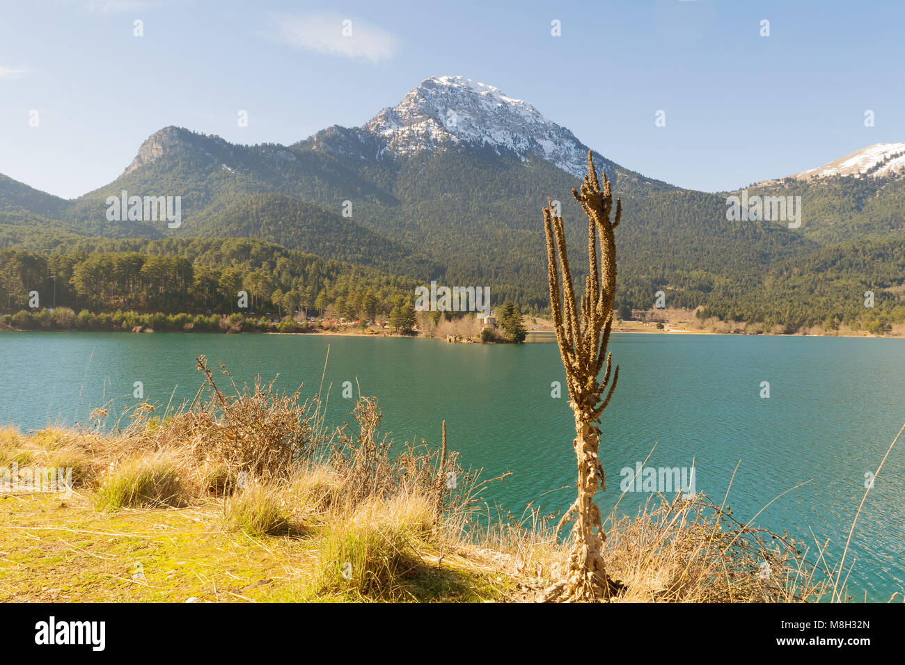Greek lake Doxa in Peloponnese. Beauty of nature Stock Photo - Alamy