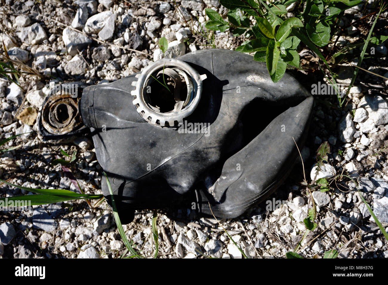 problems of the enterprises for water pollution rotten mask Stock Photo ...