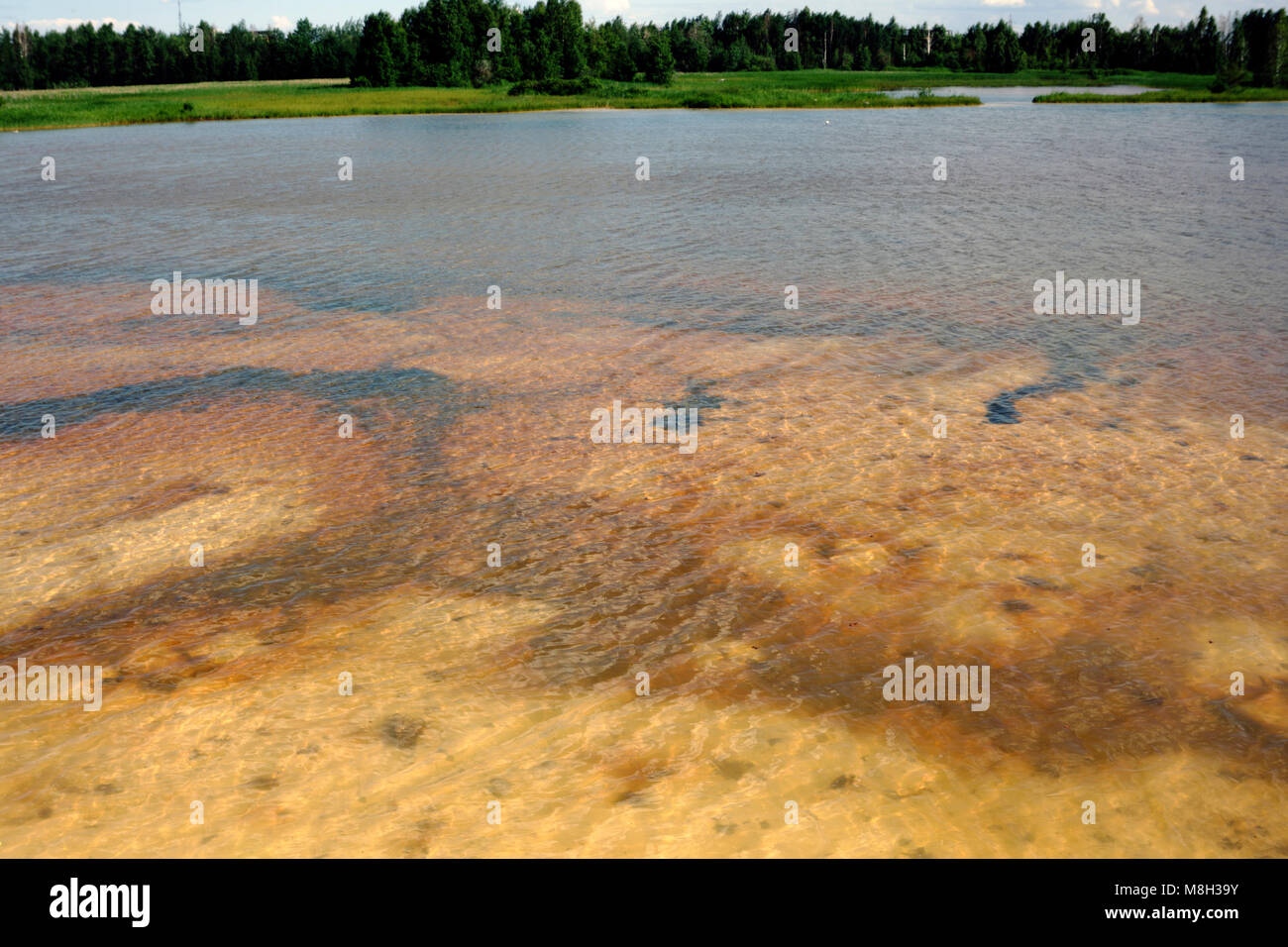 contaminated water sumps dirty water from factory waste Stock Photo - Alamy