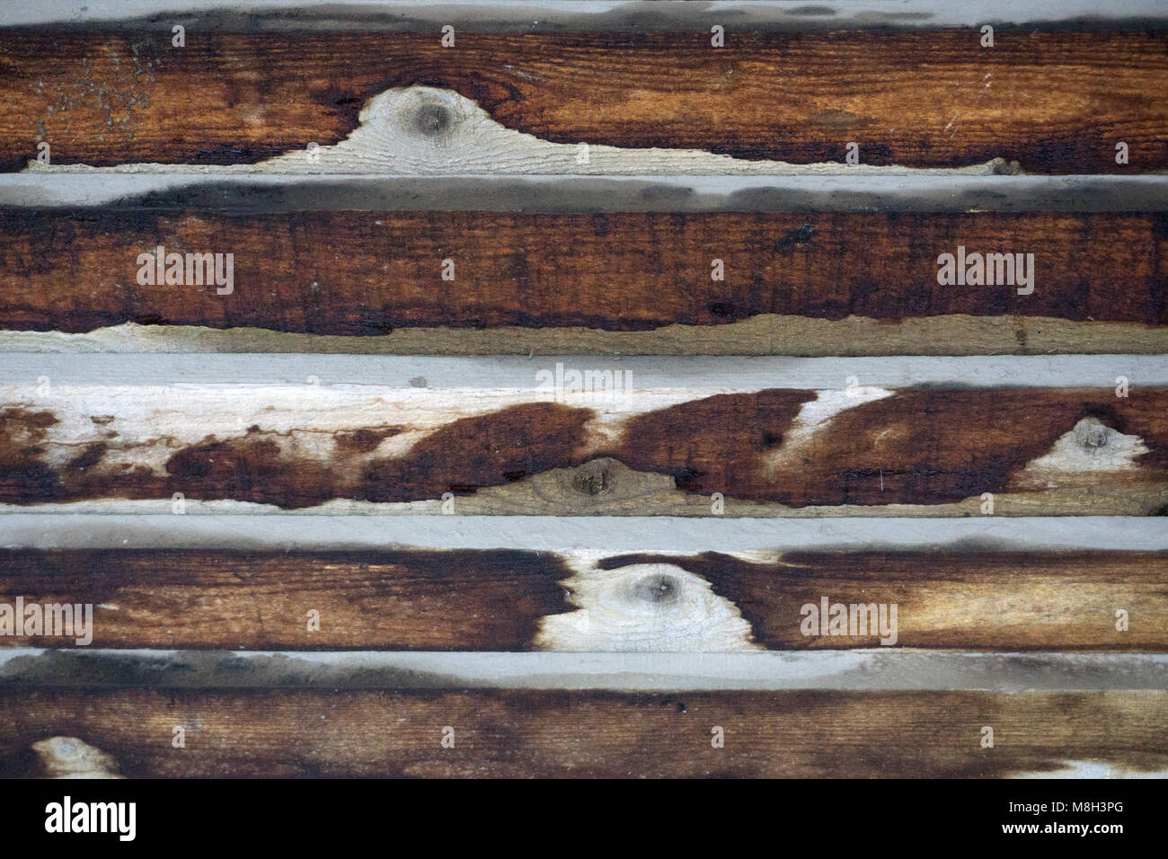 Wood background or texture in baked Board Stock Photo - Alamy
