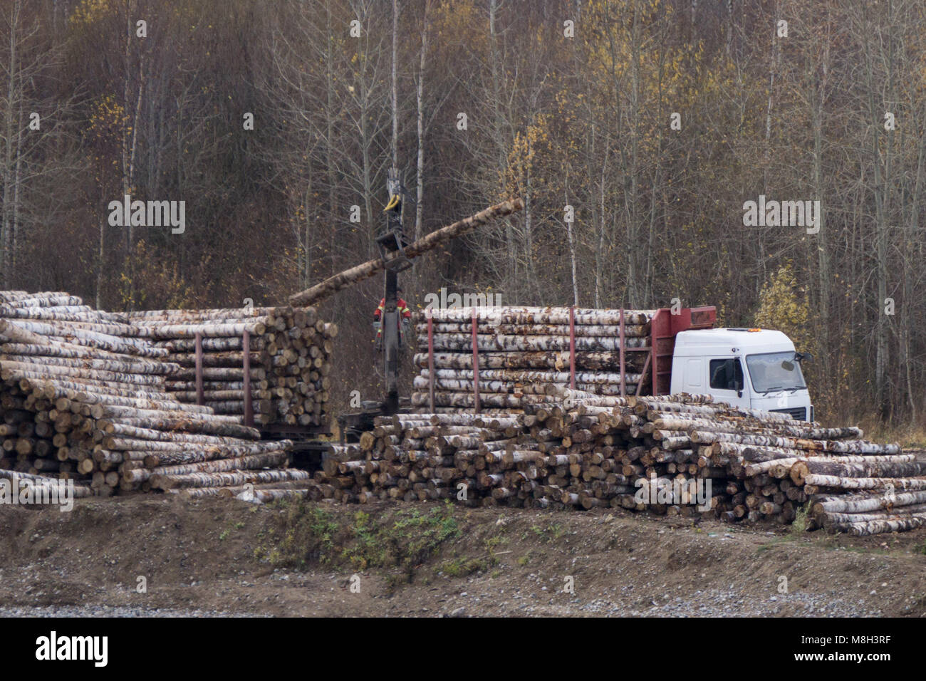 Loading of timber on railroad cars. Loader in work Stock Photo - Alamy
