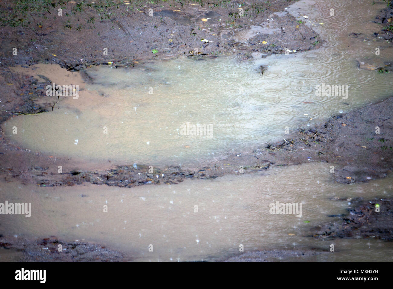 The impact of rain drops on the wavy surface of the water puddle Stock ...