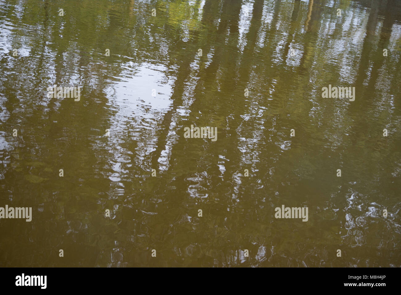 Brown Muddy Water Stock Photos & Brown Muddy Water Stock Images - Alamy