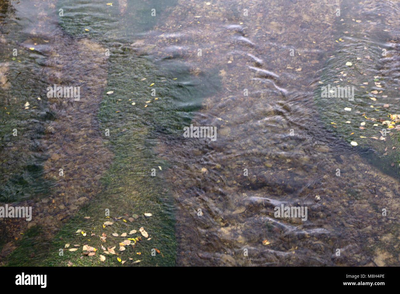 Underwater in a mountain river Stock Photo - Alamy