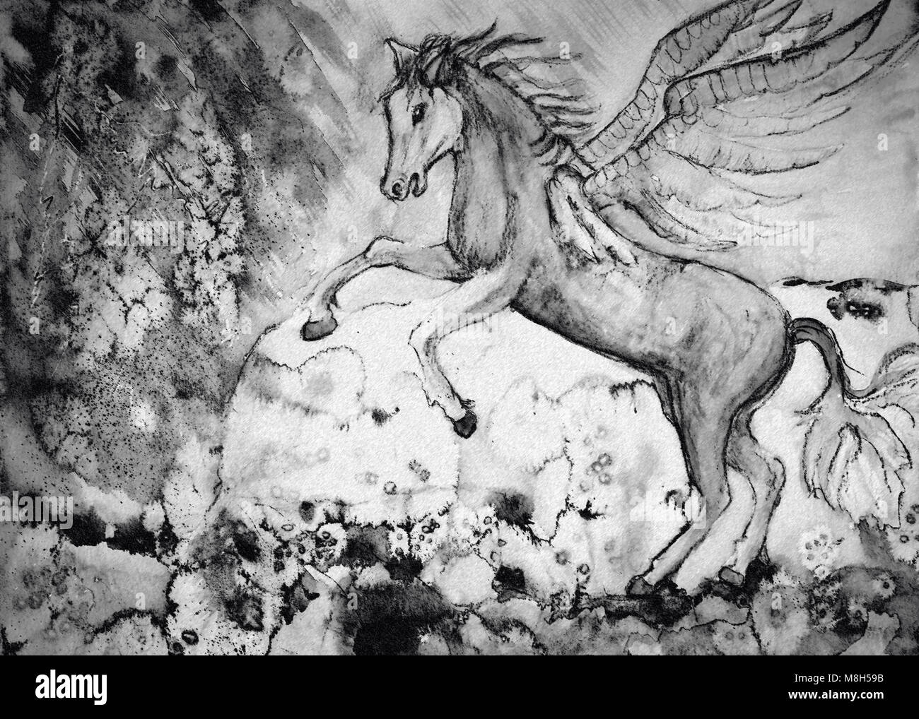 Drawing of prancing horse in black and white. The dabbing technique ...