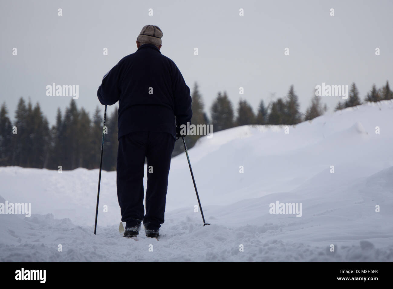 closeup old male skier to race in the forest during the world Cup in ...