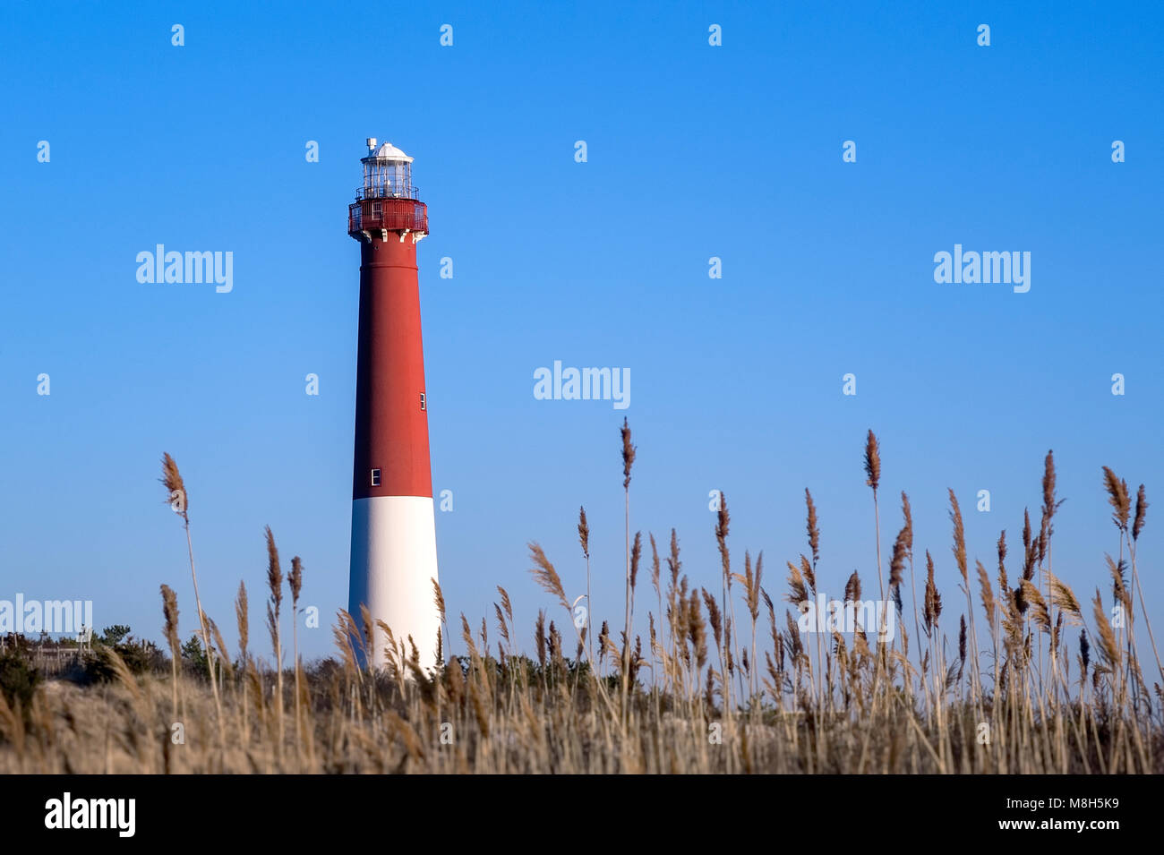 Barnegat Lighthouse, Long Beach Island, New Jersey, USA Stock Photo - Alamy