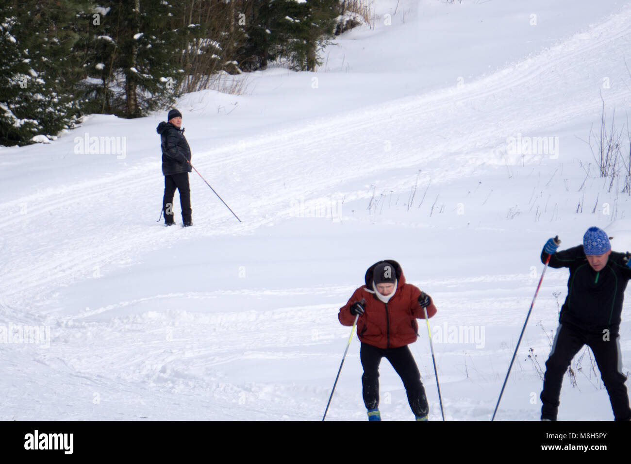 Back of father and son skiers are scouting a line on a snow ridge ...