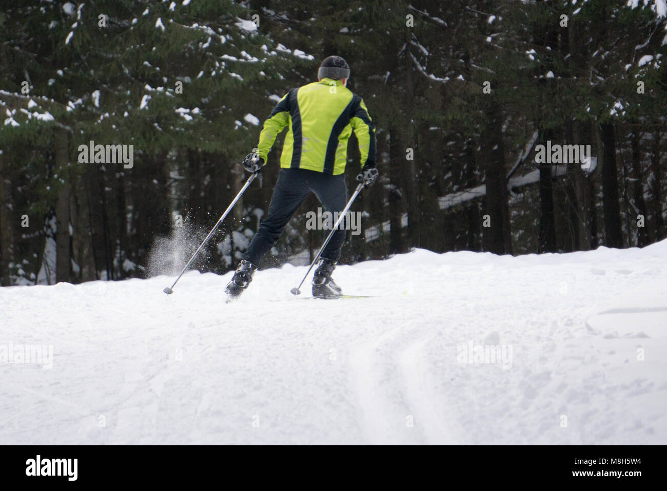 on the road in a beautiful forest at sunrise Sports active photo with ...