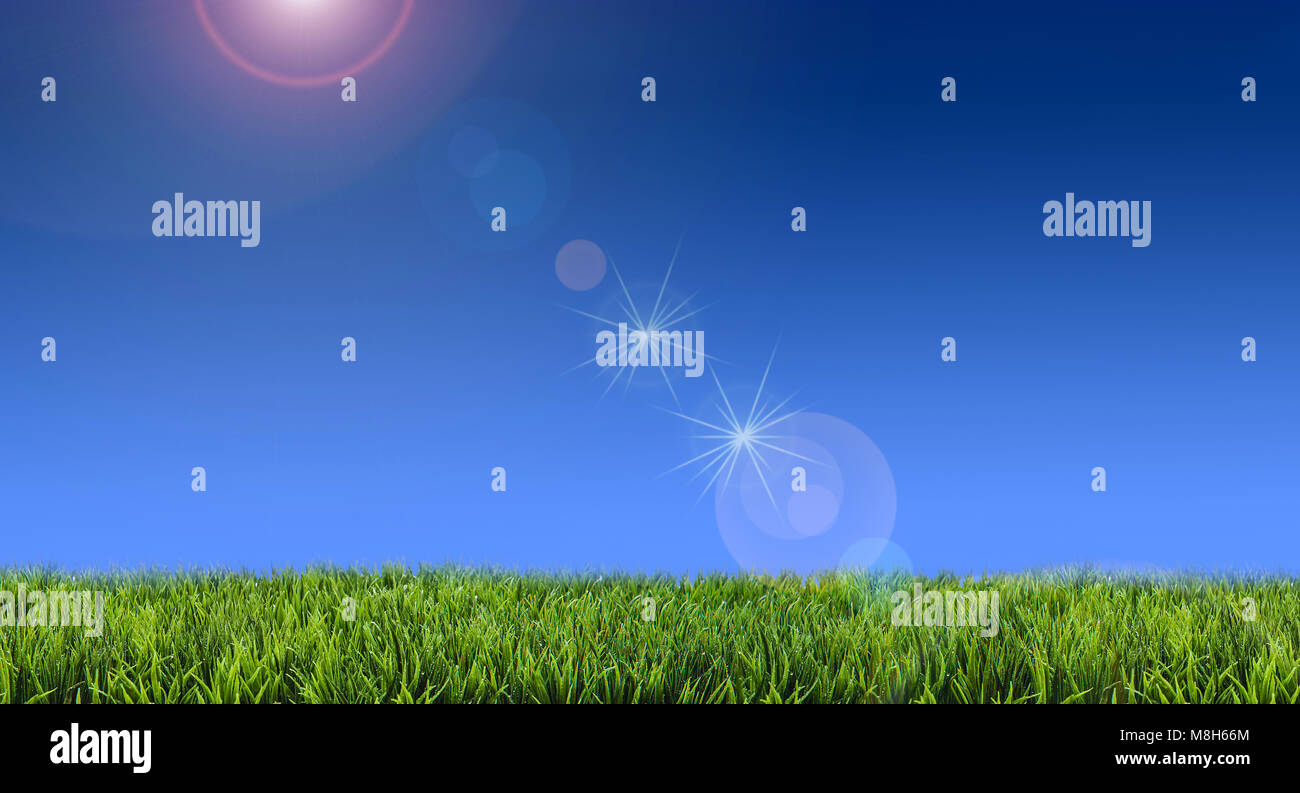 Flare for green grass lawn on sunny days Stock Photo - Alamy