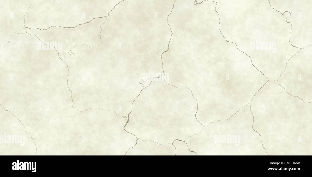 Bone texture hi-res stock photography and images - Alamy