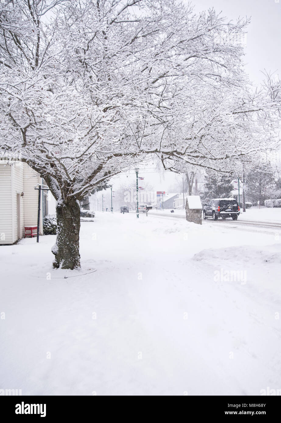 Northern Michigan in the winter time Stock Photo - Alamy