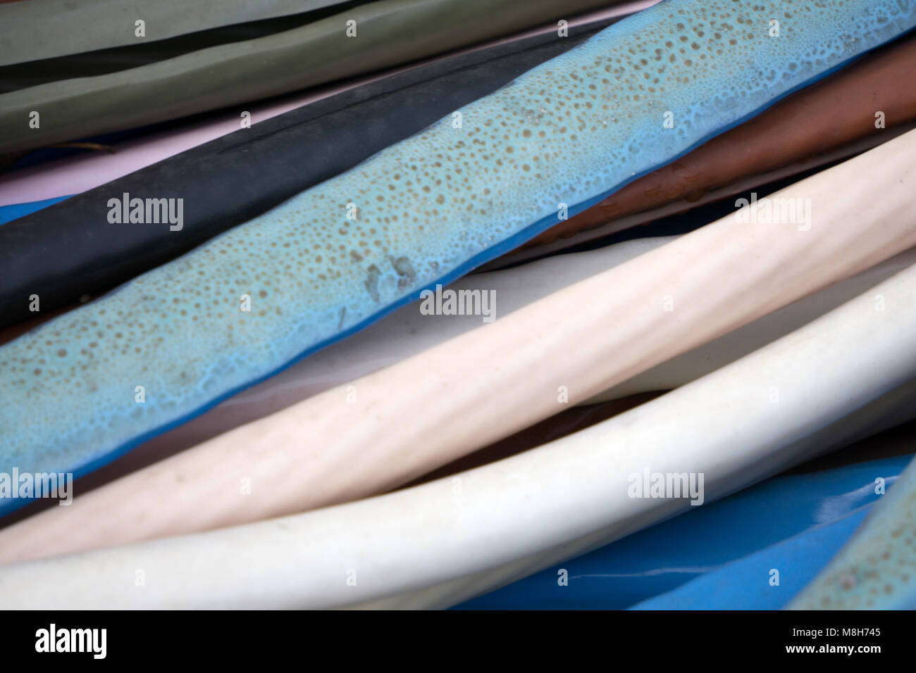 Close up look of dry seaweed on beach Stock Photo - Alamy