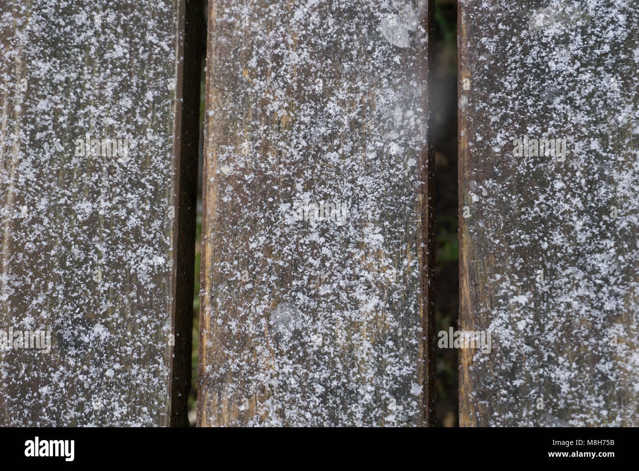 dirty old wooden table place of snow and trees of snow place Stock ...