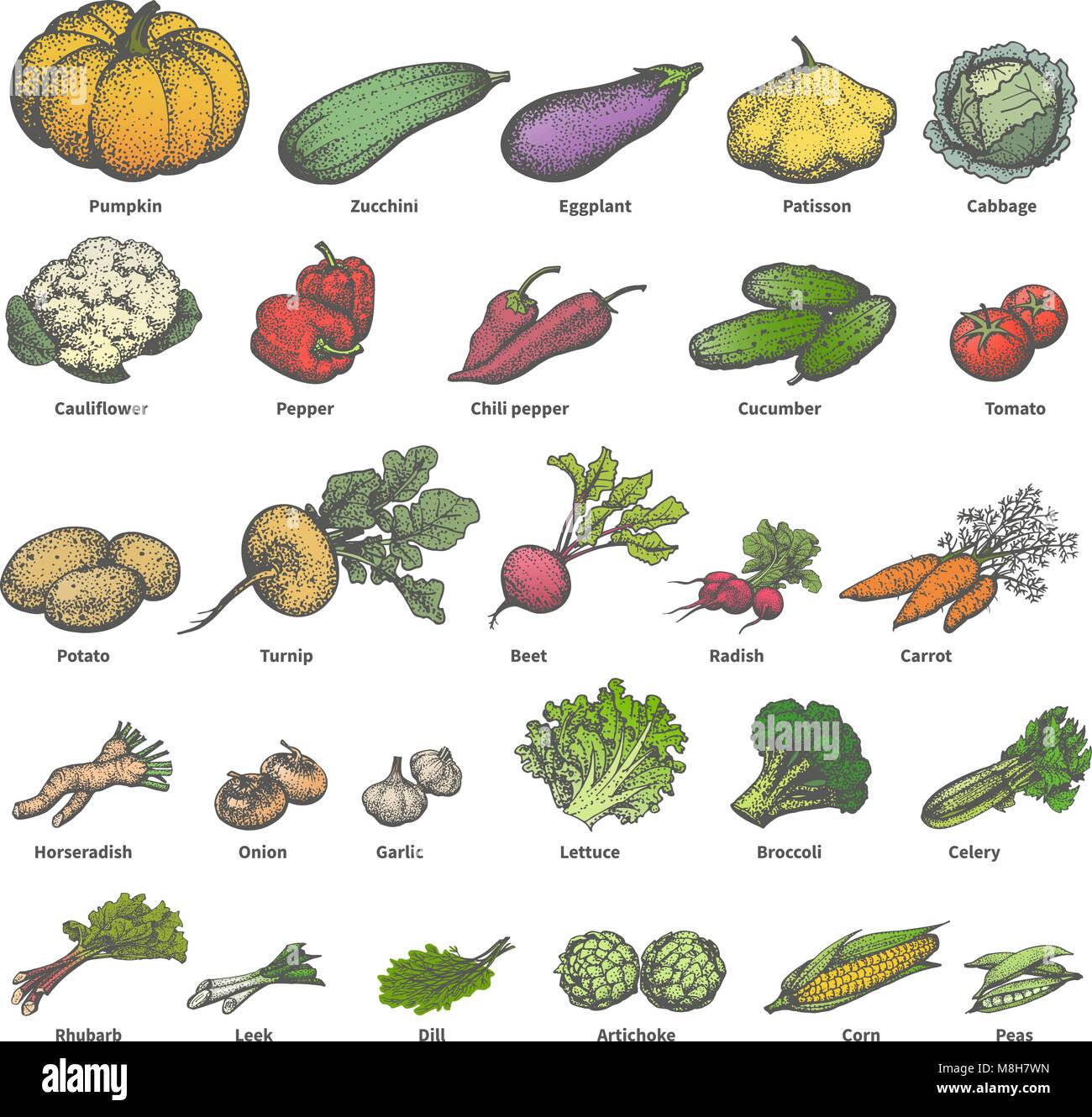 Beets cabbage Stock Vector Images - Alamy