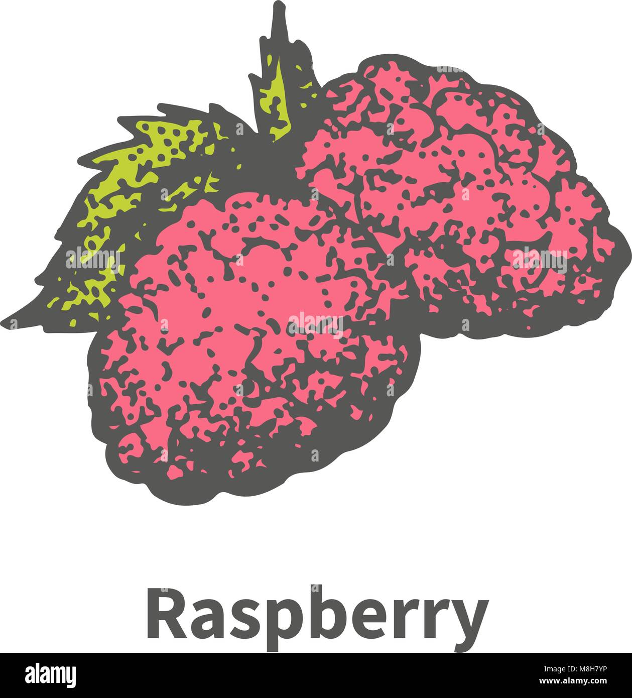 Vintage raspberry Stock Vector Images - Alamy
