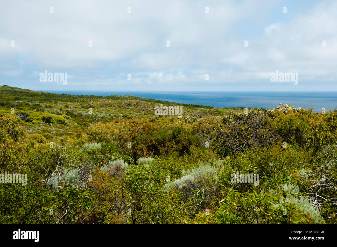 Leeuwin naturaliste national park hi-res stock photography and images ...