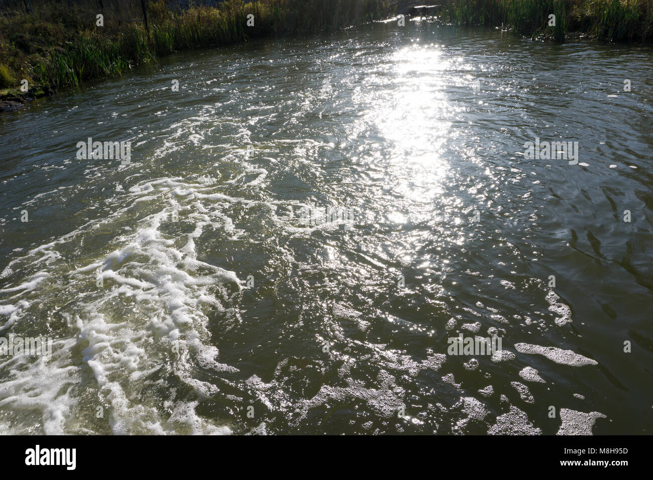 Flow flowing fresh green harmony horizontal image landscape hi-res ...