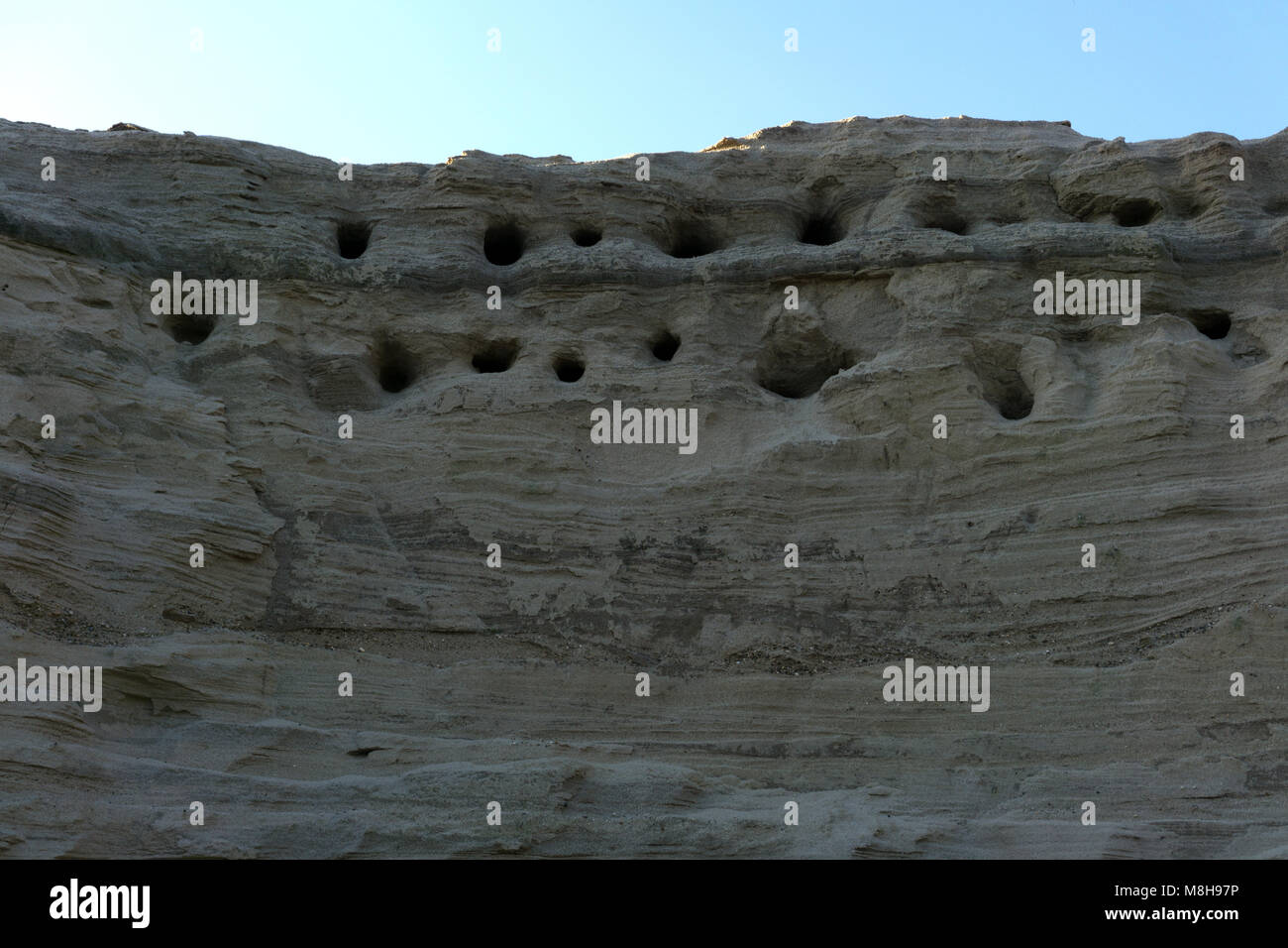 Steep sand bank with different types of soil layers and nest Burrows of ...