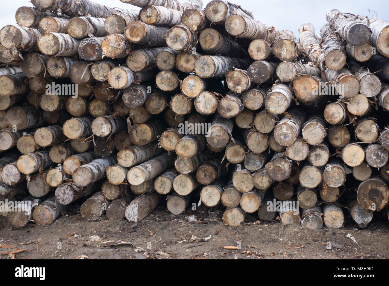 Lumber carrier machine hi-res stock photography and images - Alamy