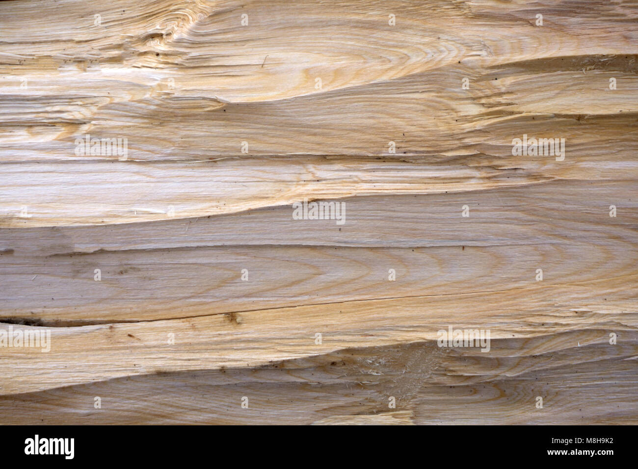 Background from sawdust tree woodcraft workshop yellow Stock Photo - Alamy