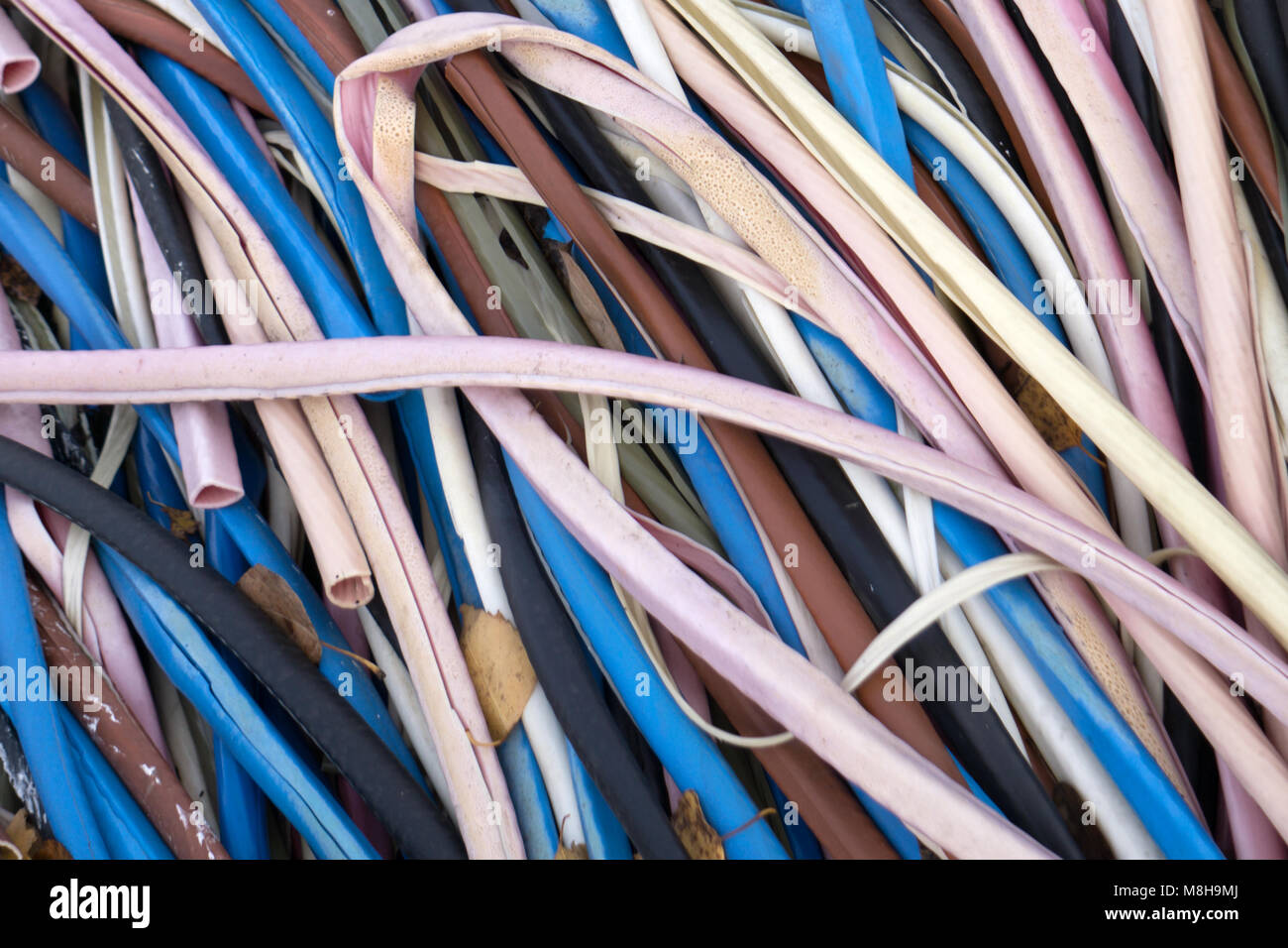colorful electrical wires link macro objects plastic Stock Photo - Alamy