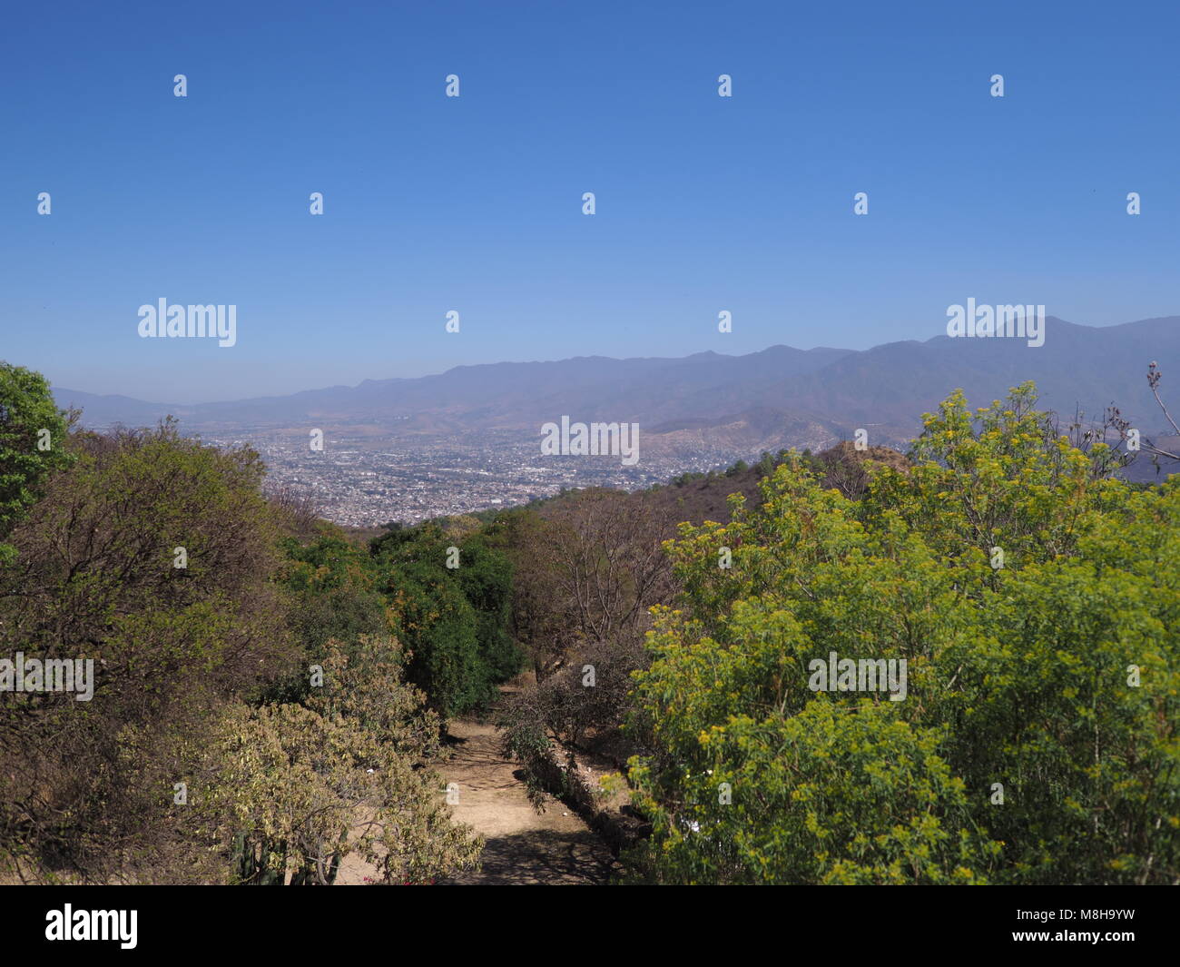 Beauty mexican mountainside path and landscapes with colorful plants ...