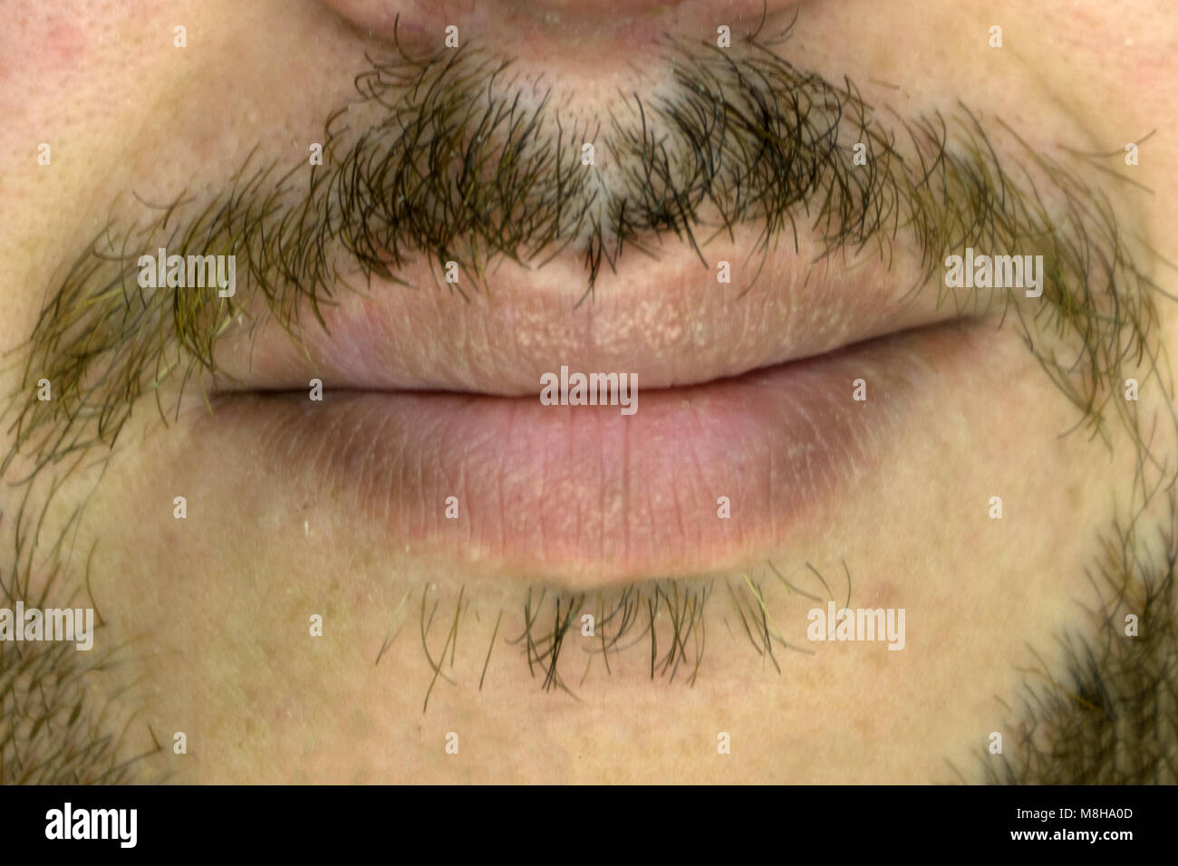 The lower part of a human face lip with a mustache Stock Photo - Alamy