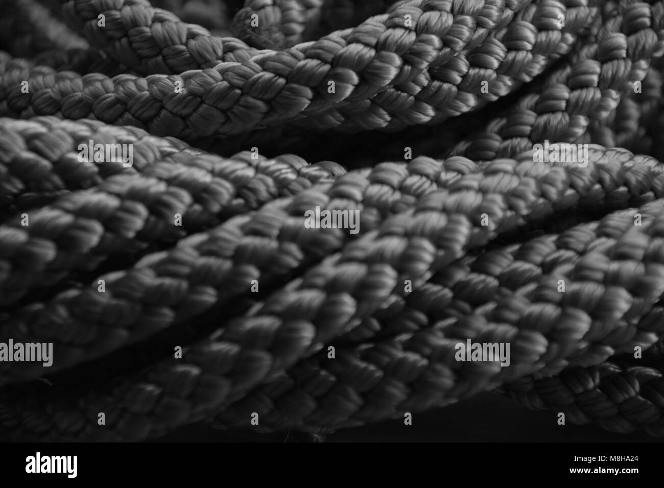 nylon ropes in macro shot, black and white Stock Photo - Alamy