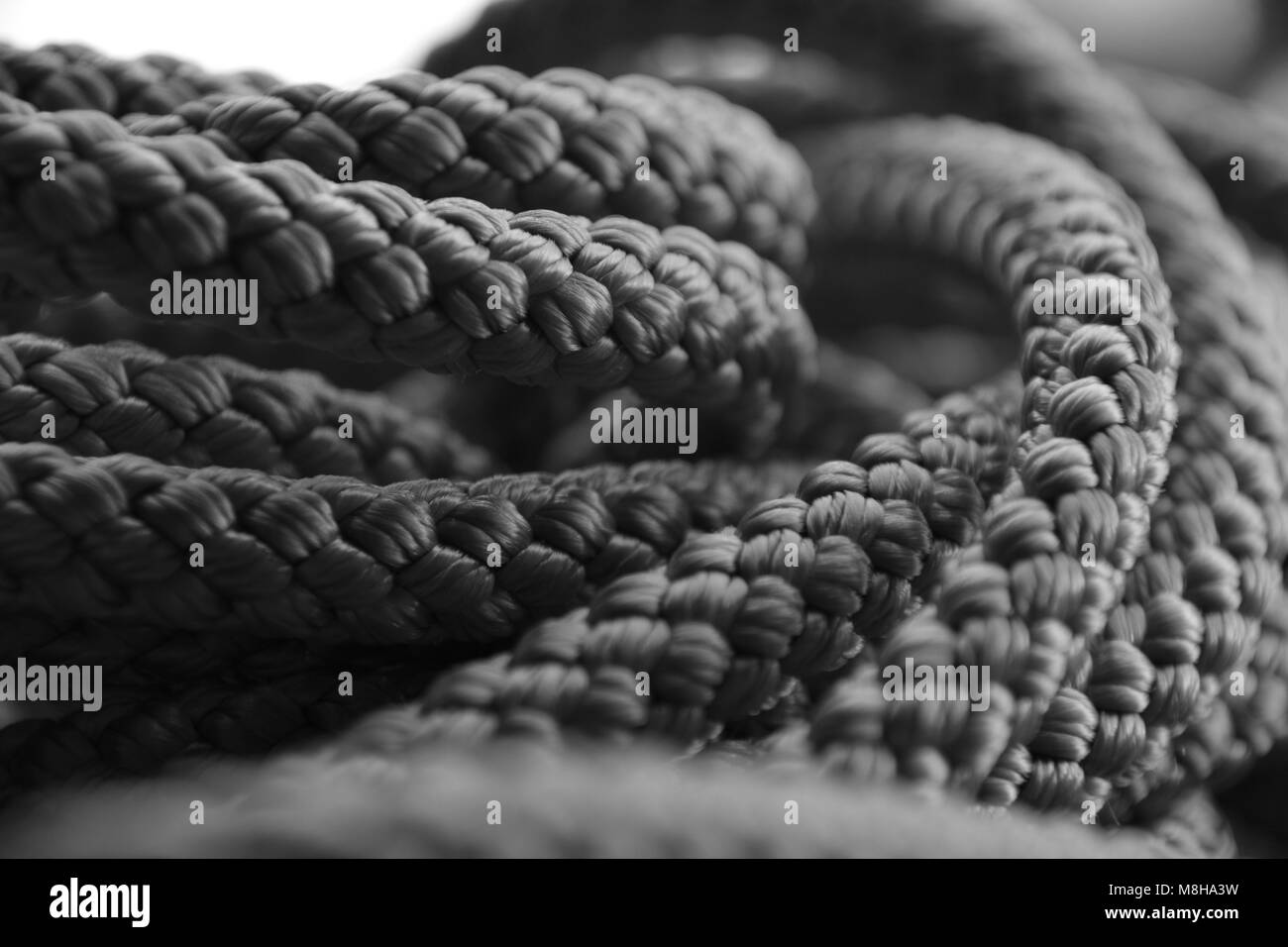 polypropylene ropes in black and White look Stock Photo - Alamy