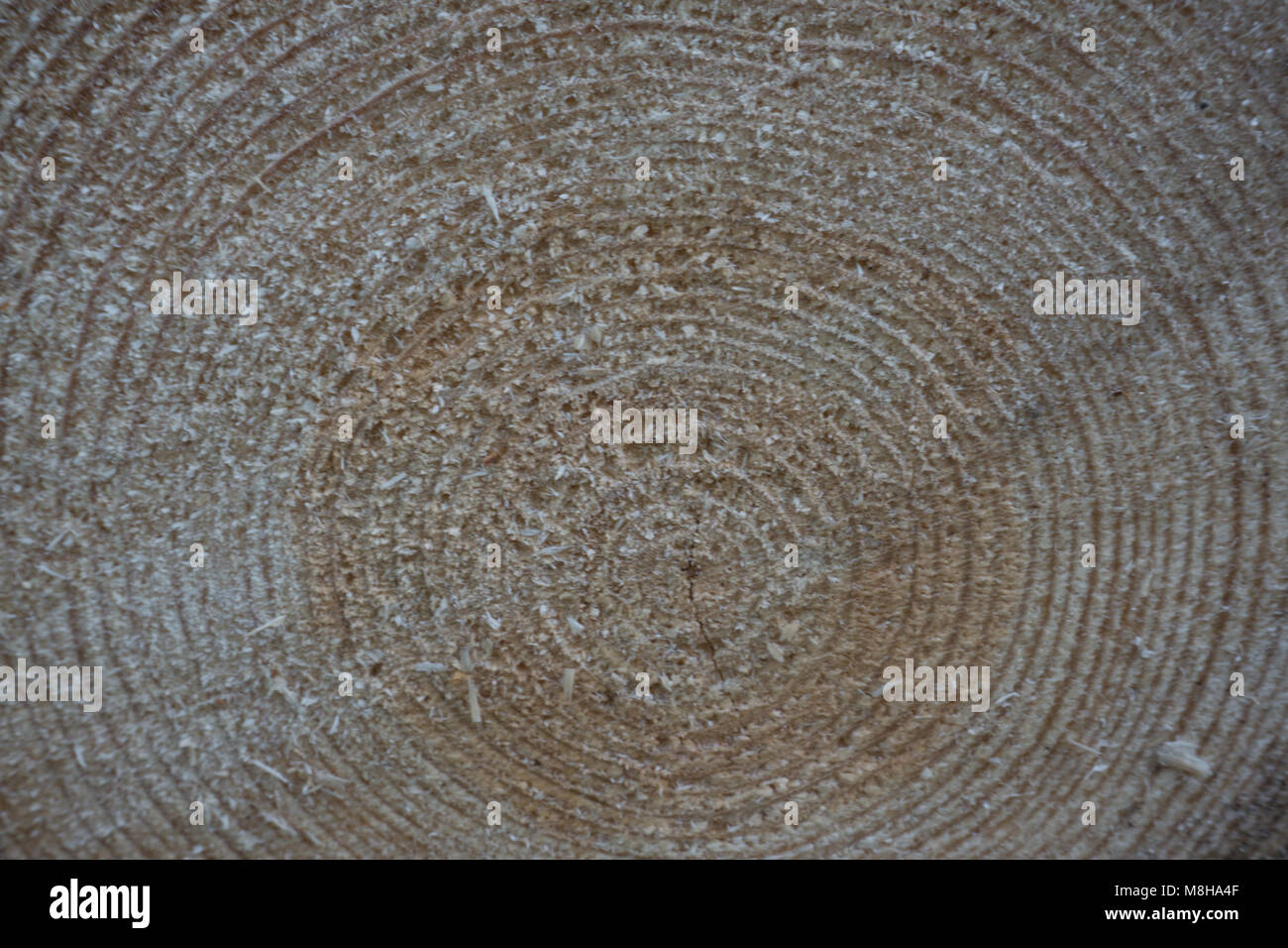 Stacking Sticks High Resolution Stock Photography and Images - Alamy