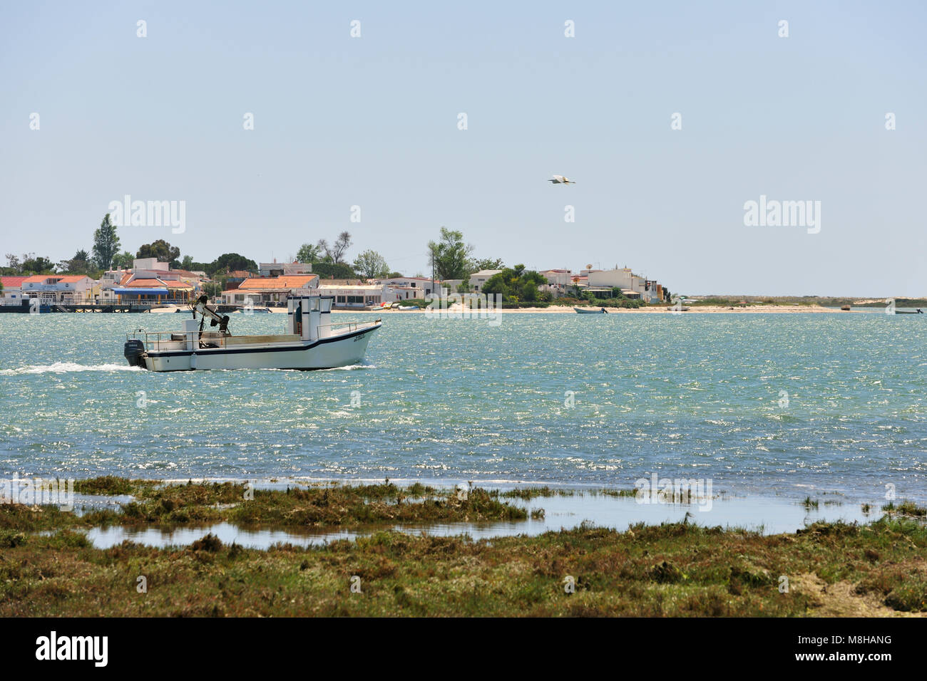 Armona island. Algarve, Portugal Stock Photo - Alamy