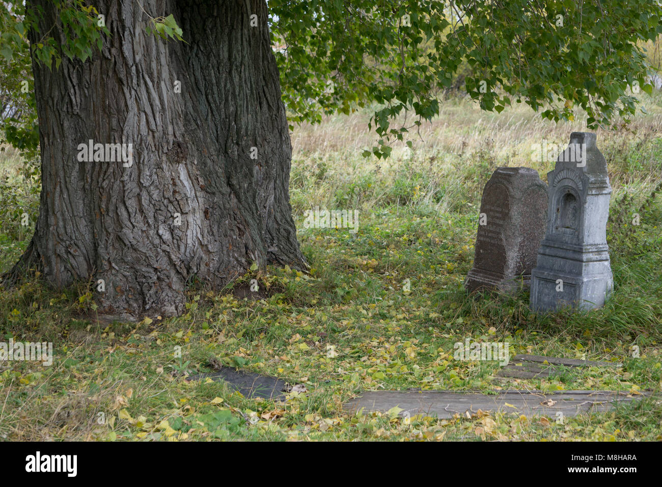 Cemetery gravestone tombstone headstone zombie - Russia Usolye 5 Oct ...