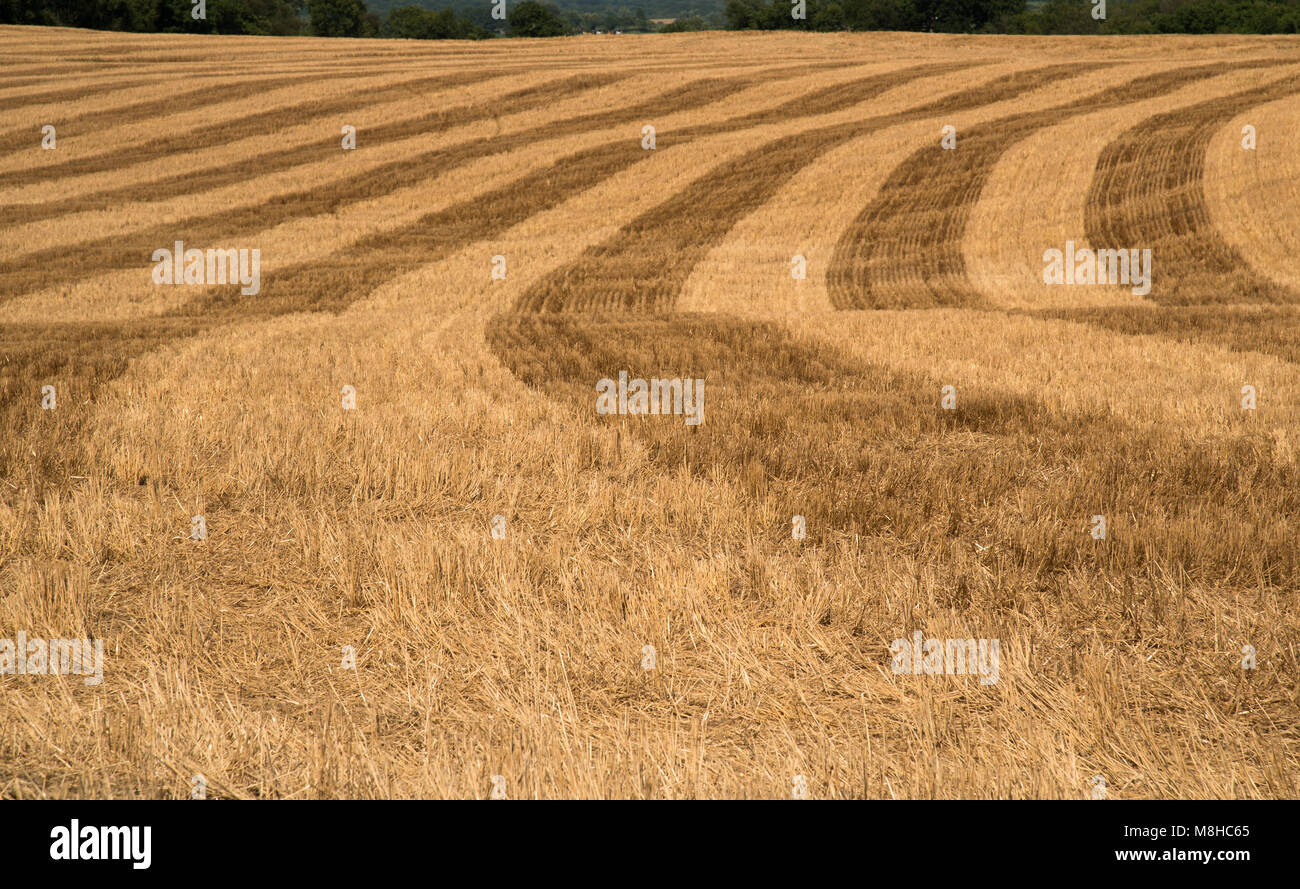 A Farm Scene Of A Recently Mowed Hay Field Shows Patterns Of Conturs And Curved Bands Of Light