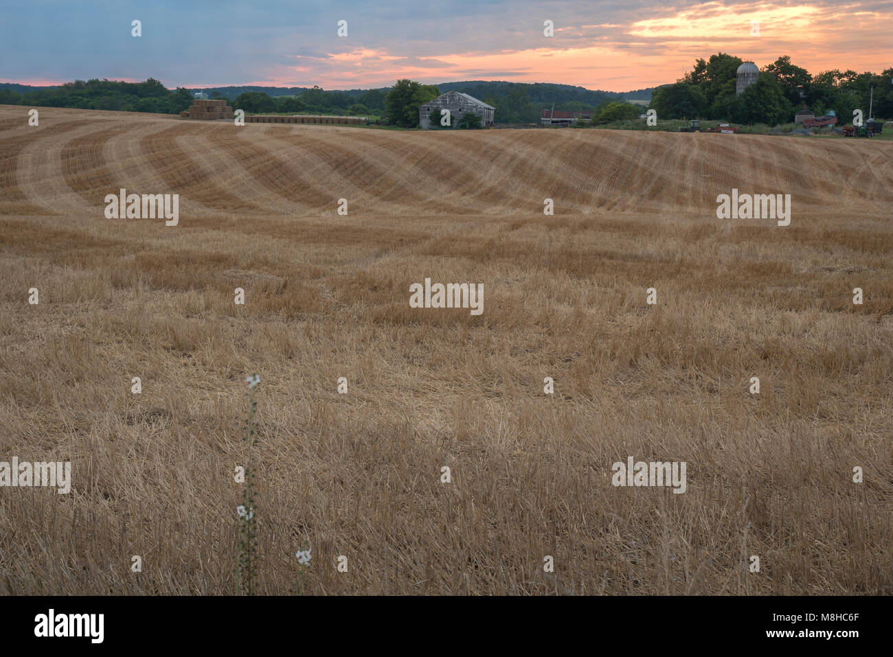 Contour farming hi-res stock photography and images - Alamy