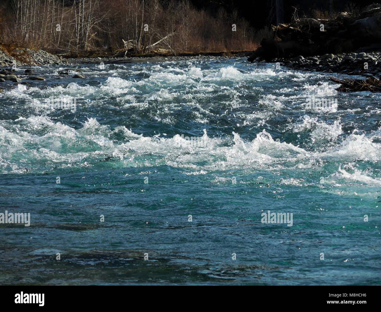 Hoh river water splash Stock Photo - Alamy