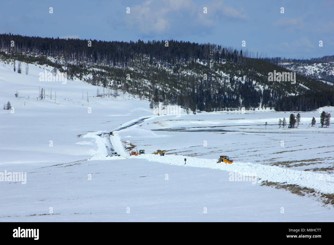 Snow plowing in Hayden Valley Stock Photo - Alamy
