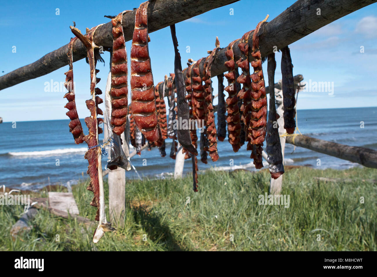 Fish drying in sun, traditional Stock Photo - Alamy
