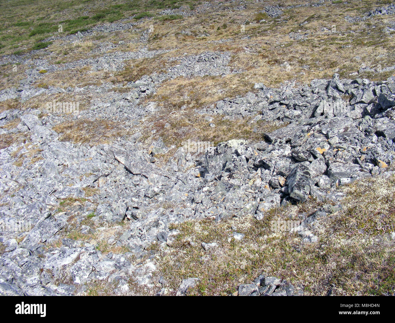 Is this a Frost Boil or Man Made Stock Photo - Alamy