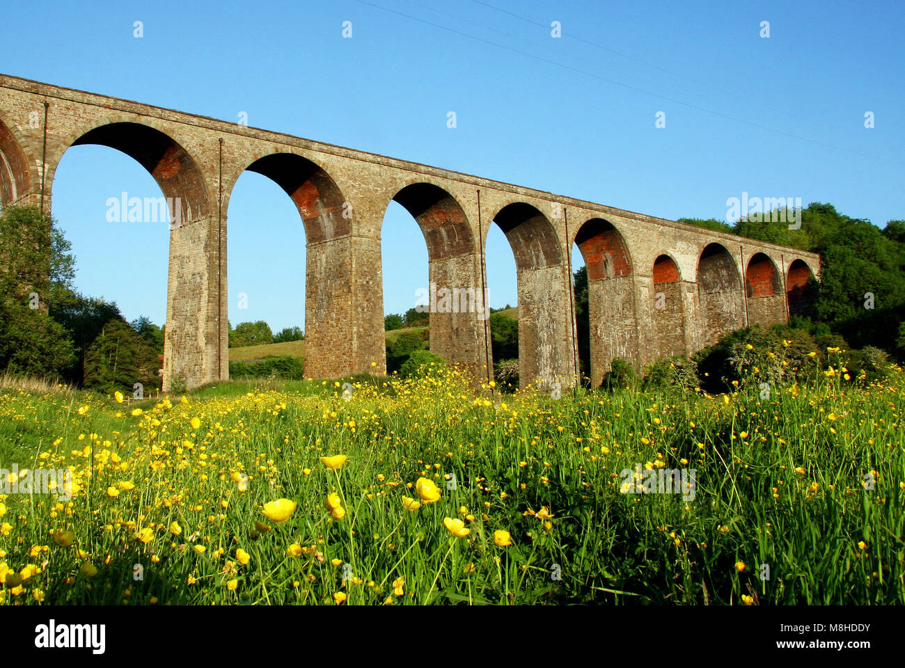 Avon railway viaduct hi-res stock photography and images - Alamy