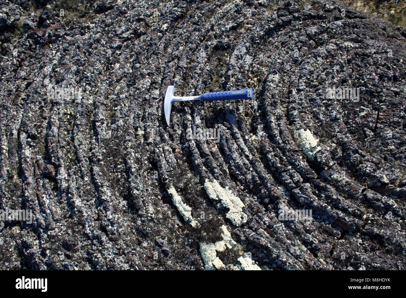 Lost Jim Lava Flow. The Lost Jim Lava Flow dates from about 1,000 years ...