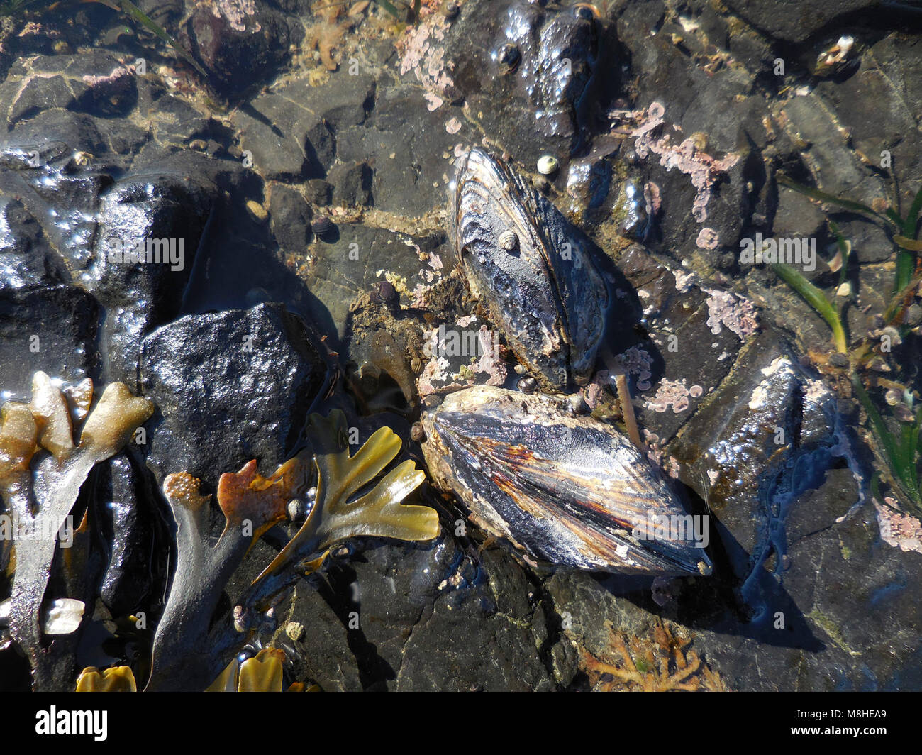 Salt creek country park hi-res stock photography and images - Alamy