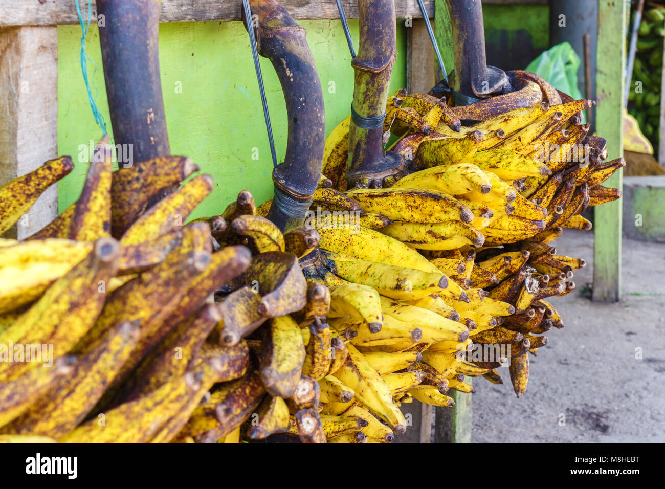 Bundles of bananas on the Asian market. Ripe, organic fruit Stock Photo ...