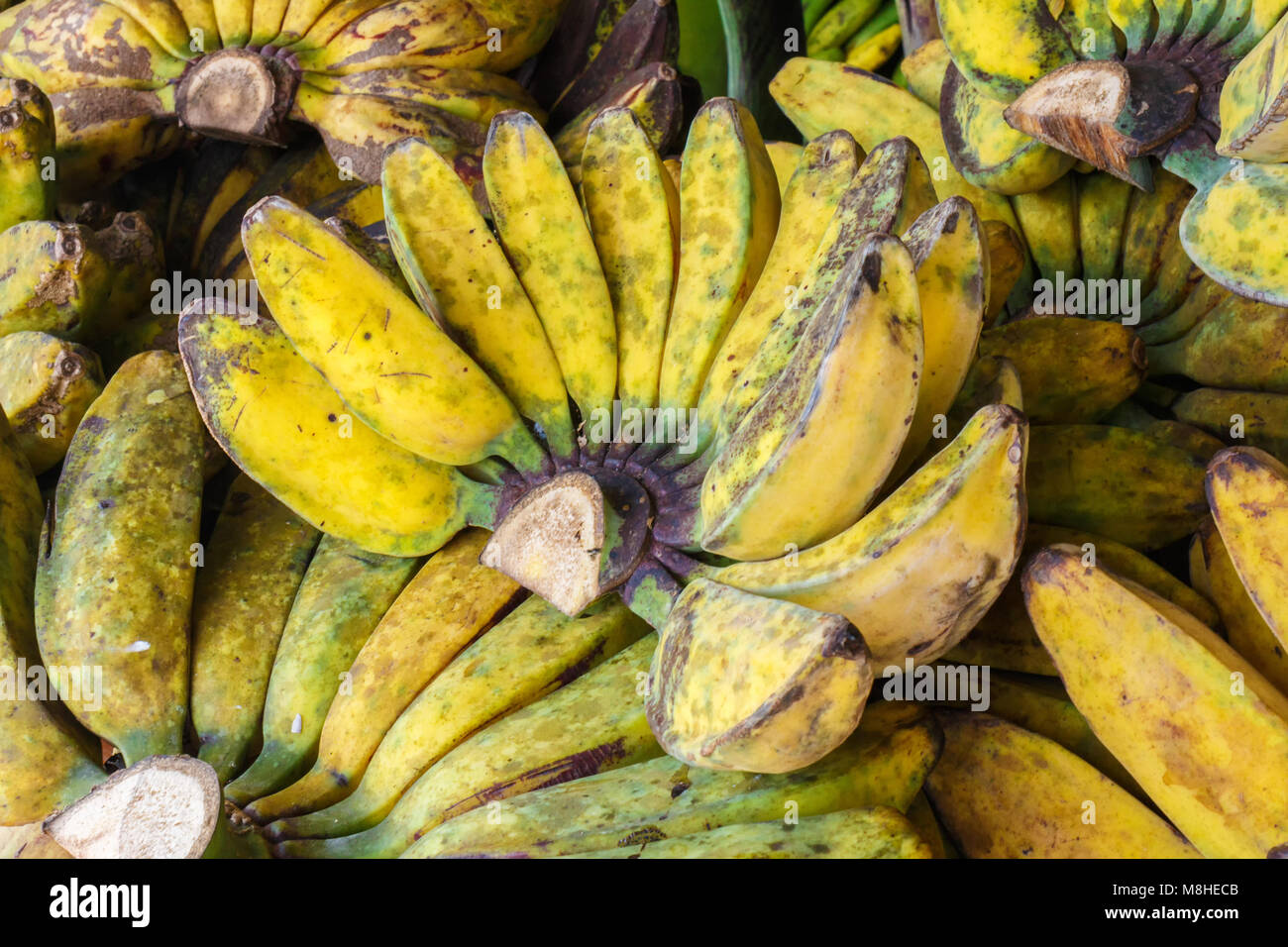 Bundles of bananas on the Asian market. Ripe, organic fruit Stock Photo ...
