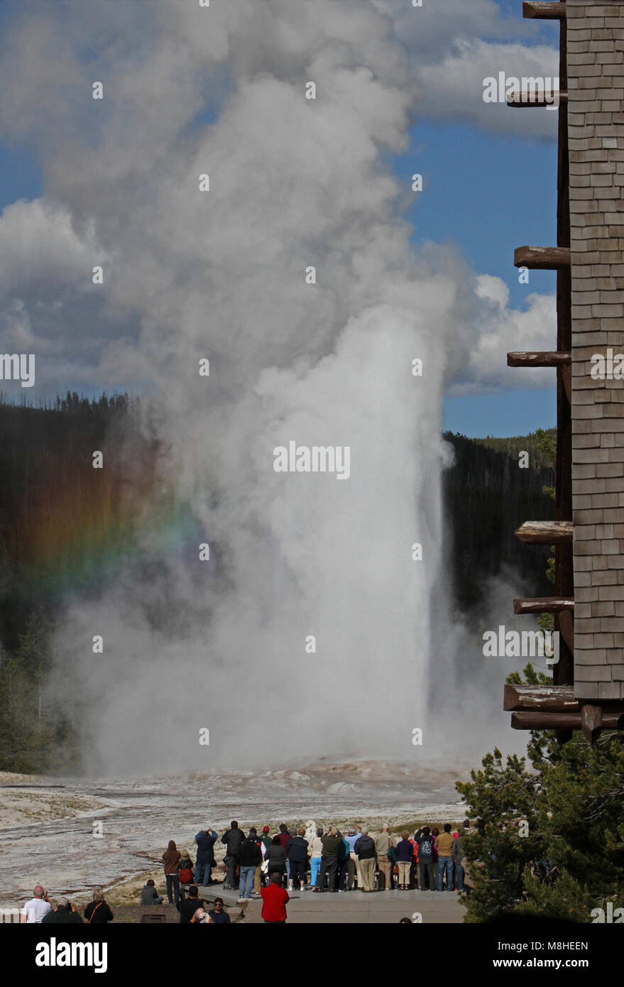 Old Faithful Eruption. Old Faithful Geyser erupting with rainbow and ...